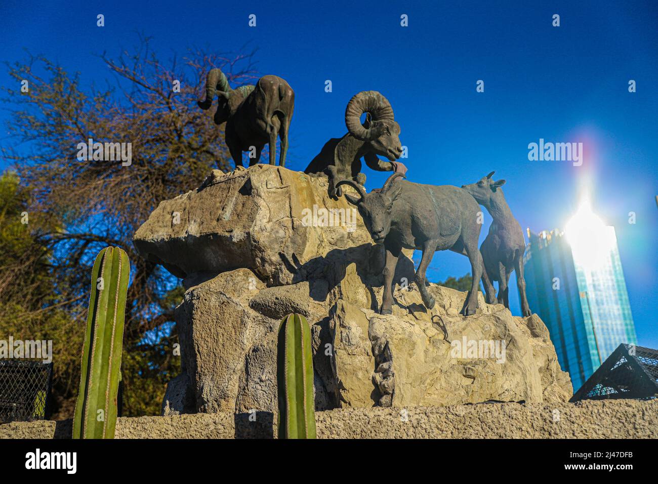 Figura o estatua de borrego cimarron, cimarrones, animal del desierto ...