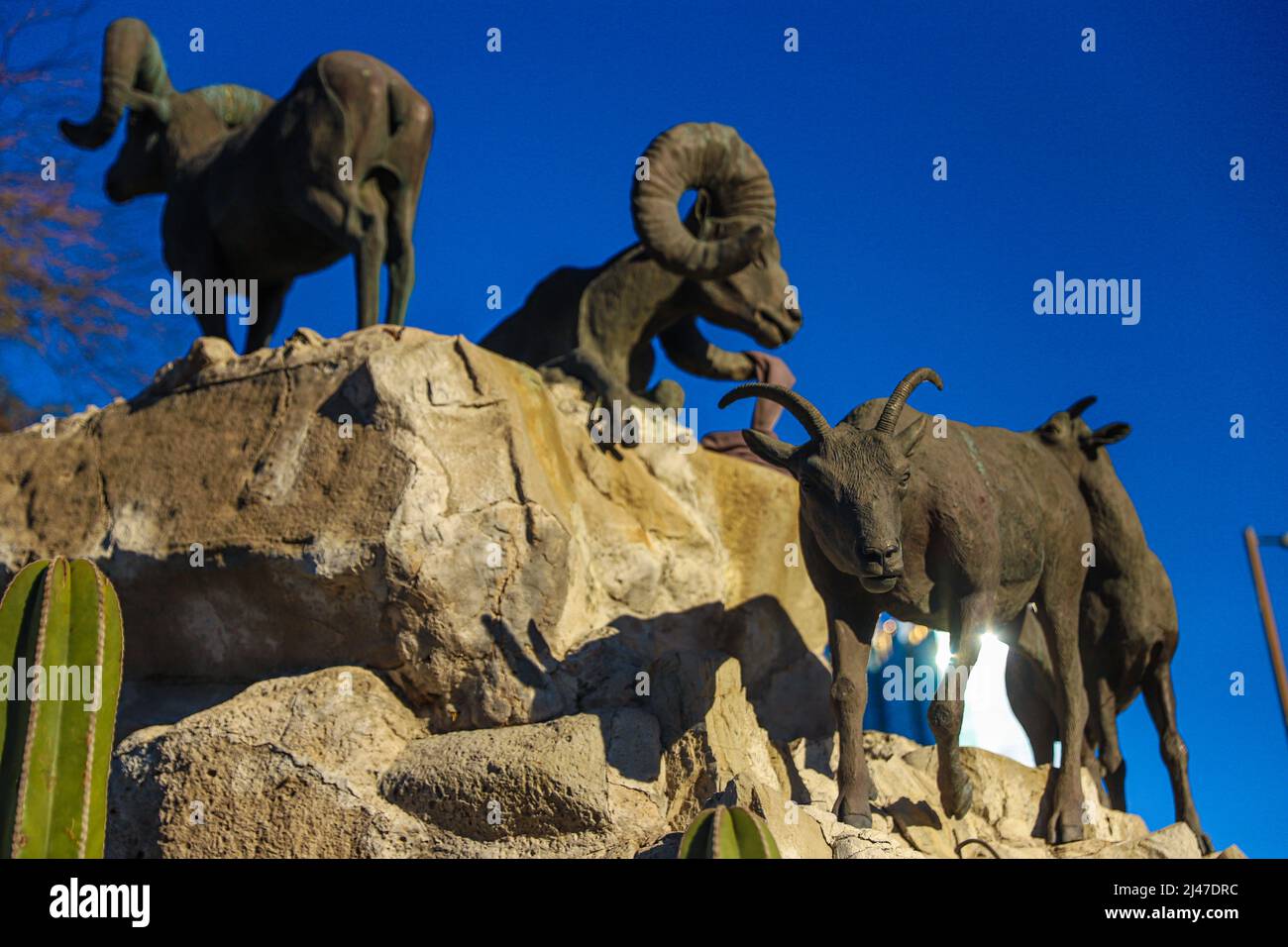 Figura o estatua de borrego cimarron, cimarrones, animal del desierto ...