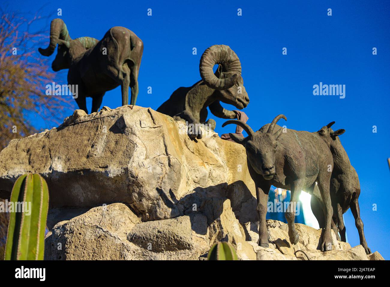 Figura o estatua de borrego cimarron, cimarrones, animal del desierto ...