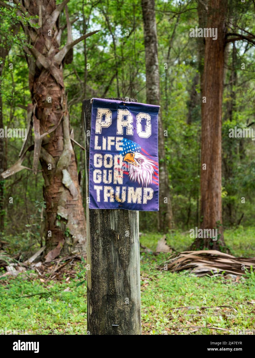 Political signs posted along a rural road in North Florida Stock Photo ...