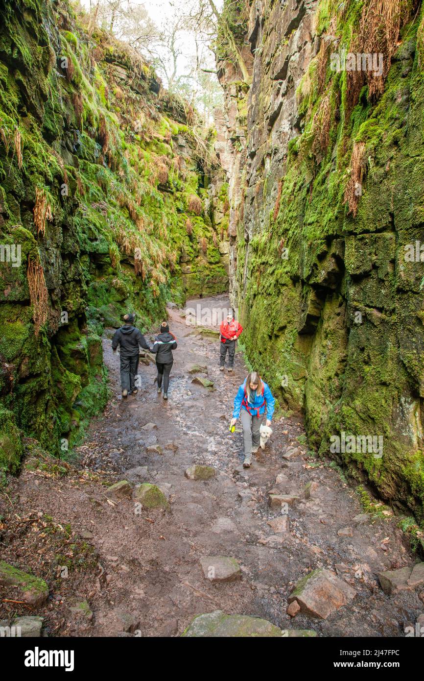 Walkers walking through Lud's Church gorge the Peak District National ...