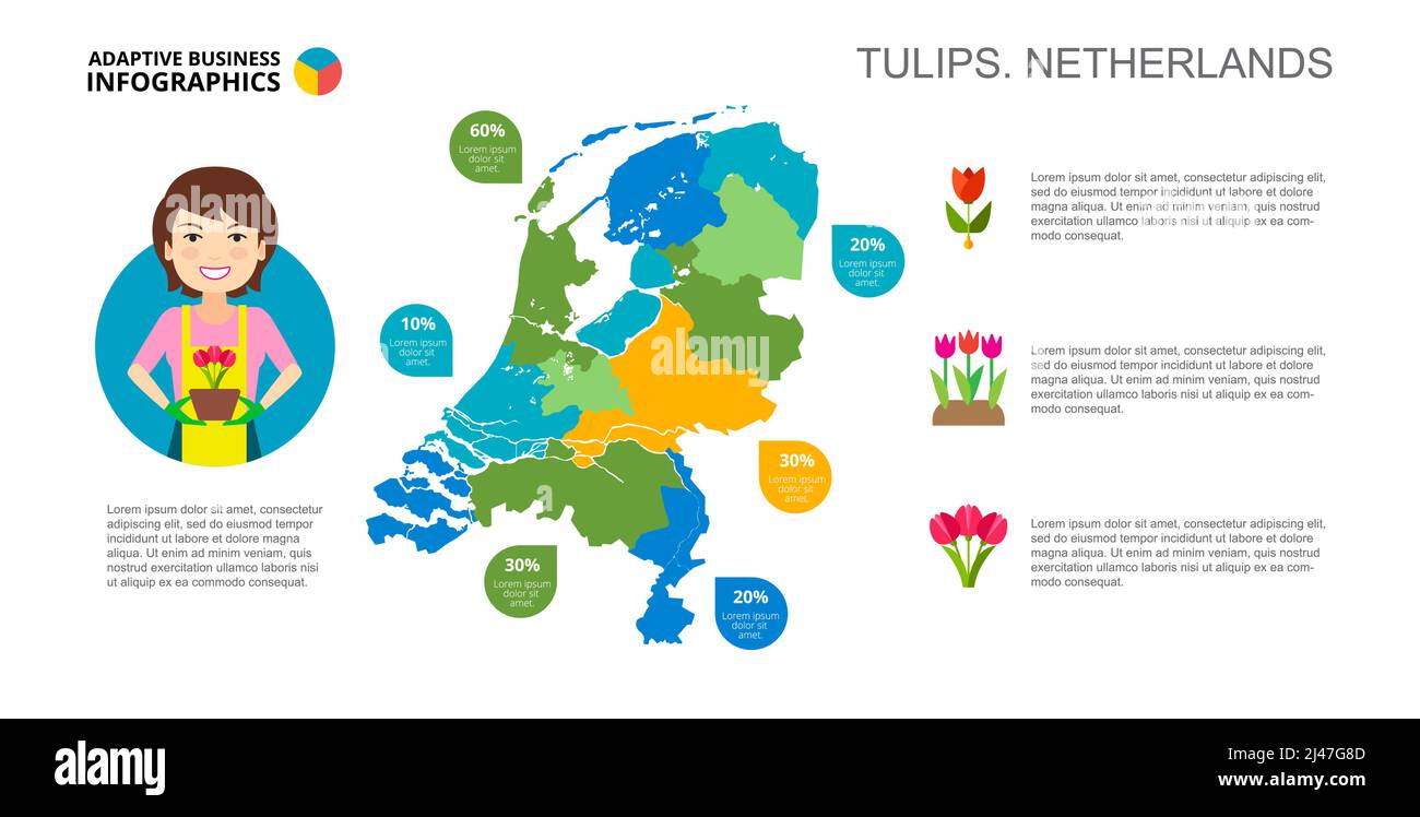 Tulips of Netherlands percentage chart. Business data. Product, diagram ...
