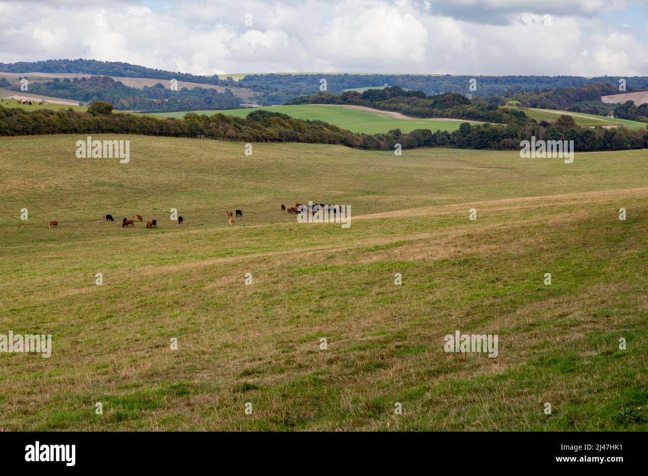 UK, England, Oxford. Oxfordshire Scenic Farmland near Ewelme Stock ...