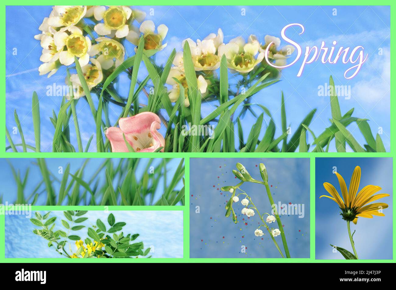 Spring themed postcard Stock Photo - Alamy