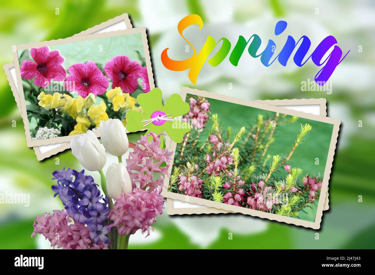 Spring themed postcard Stock Photo - Alamy