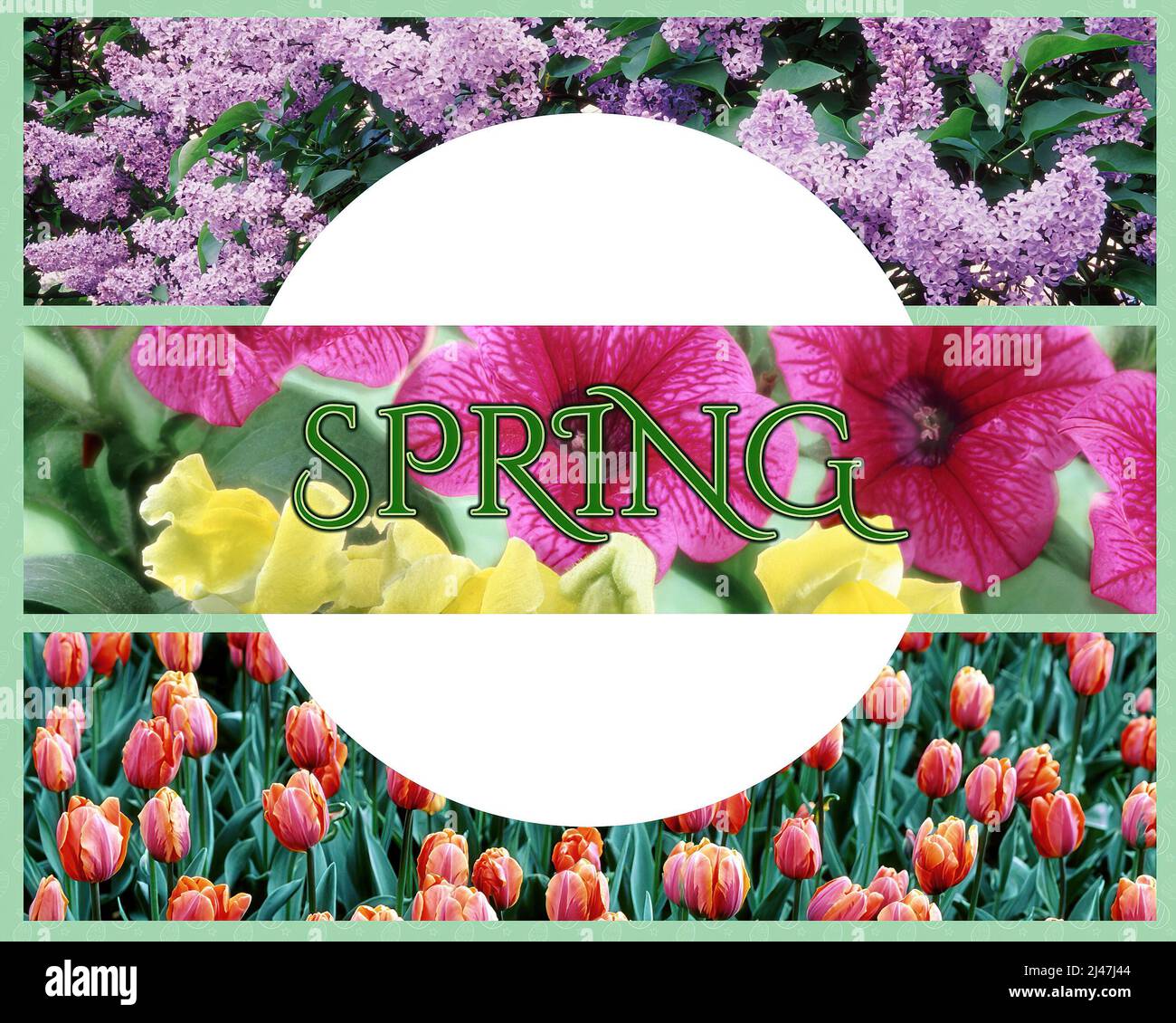 Spring themed postcard Stock Photo - Alamy
