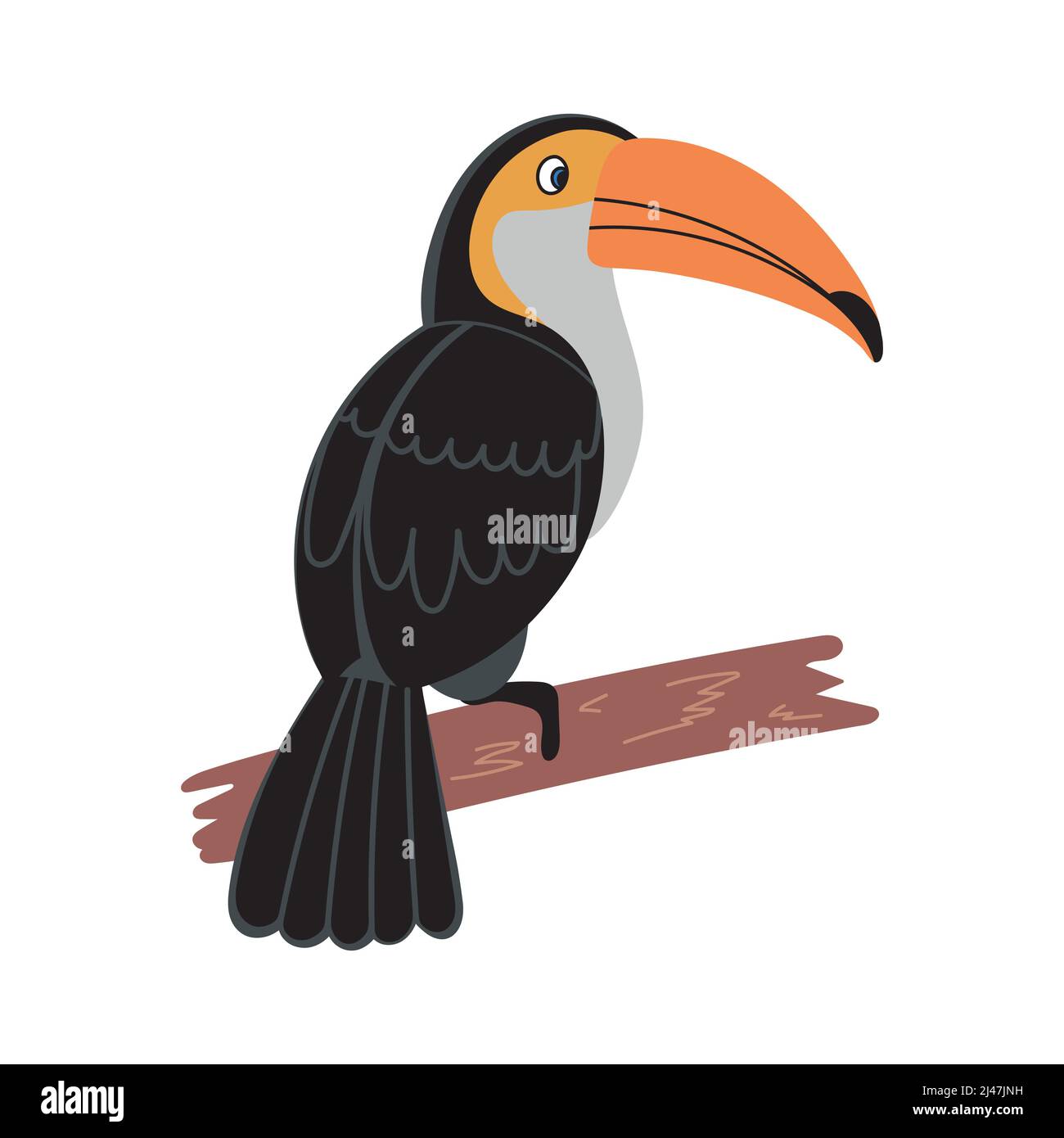 Toucan bird cartoon character. Cute toucan vector isolated on white ...