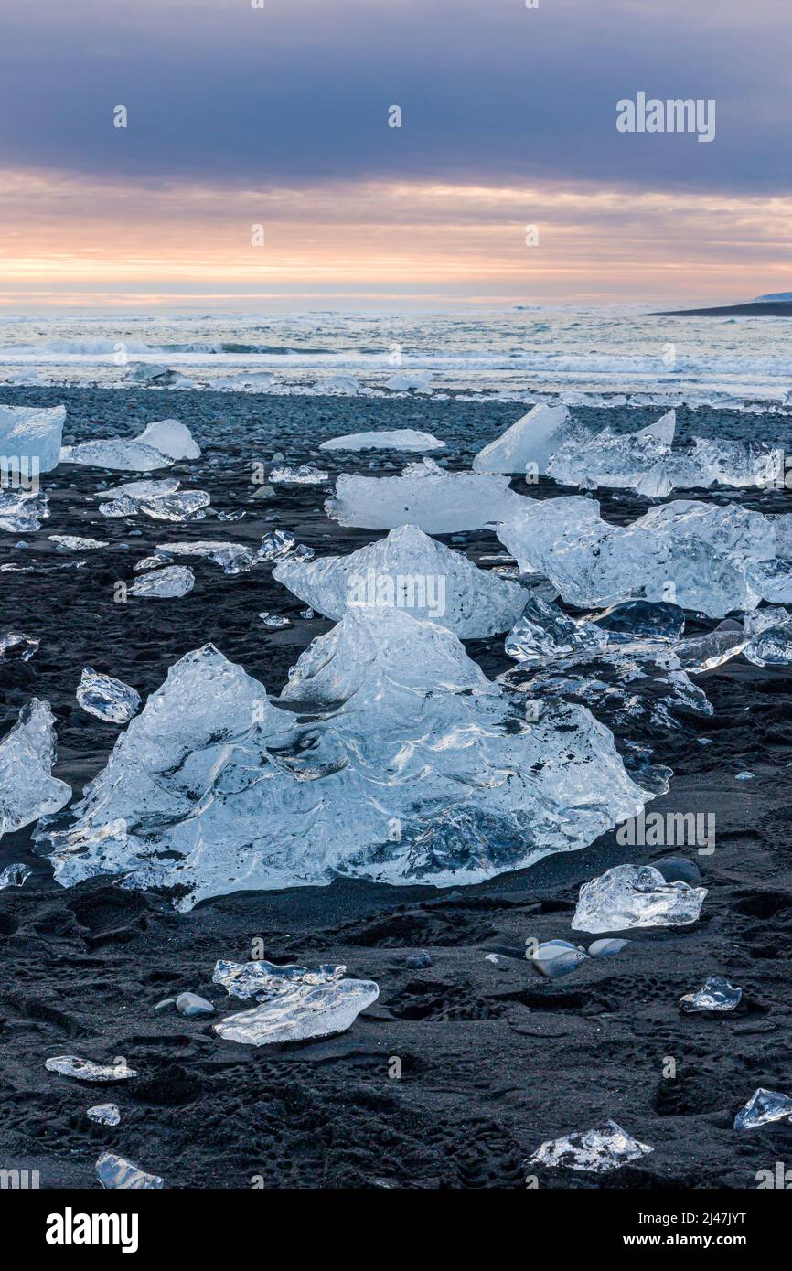 Beautiful blue icebergs and chunks of ice washed up on a volcanic black ...