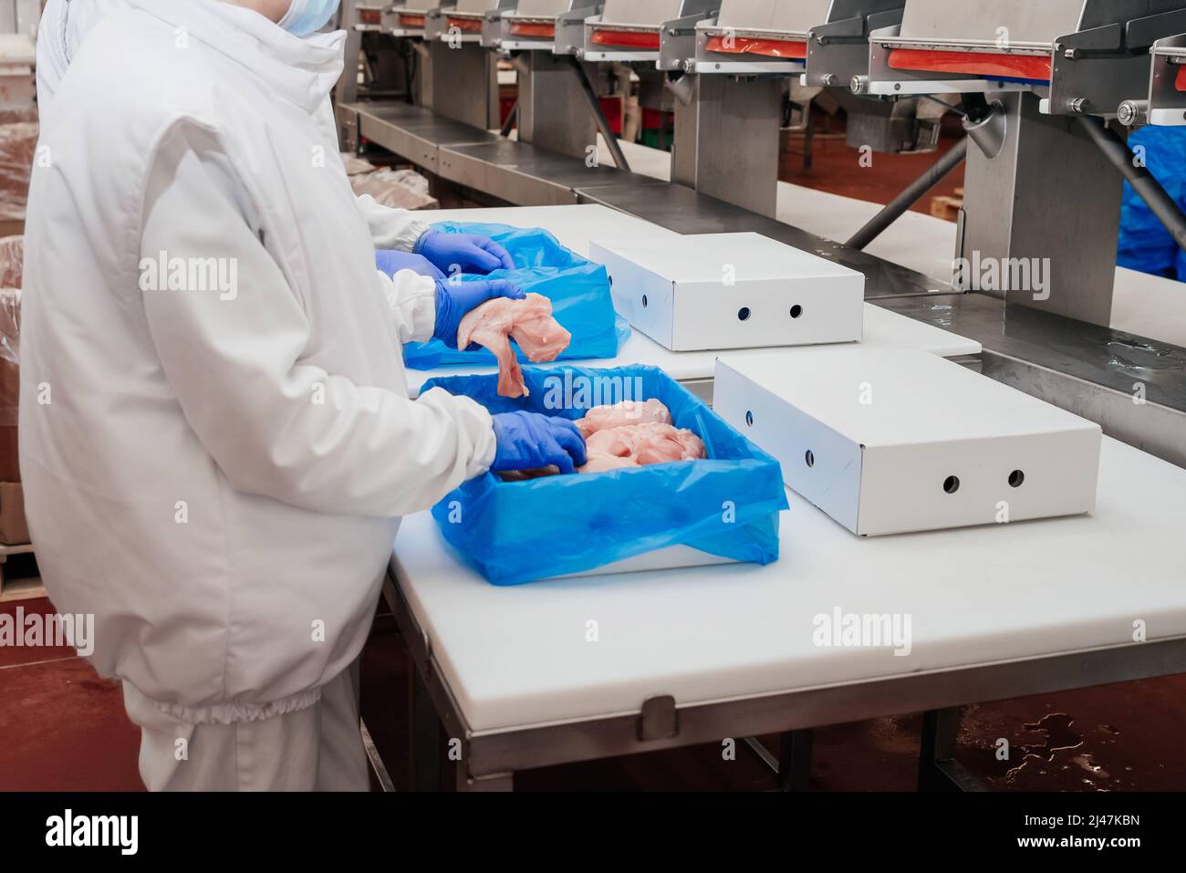 Meat processing plant.Industrial equipment at a meat factory.Modern ...