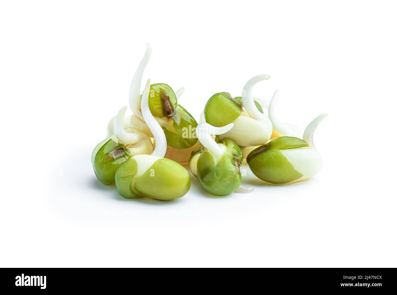 Sprouted mung beans isolated on white background Stock Photo - Alamy