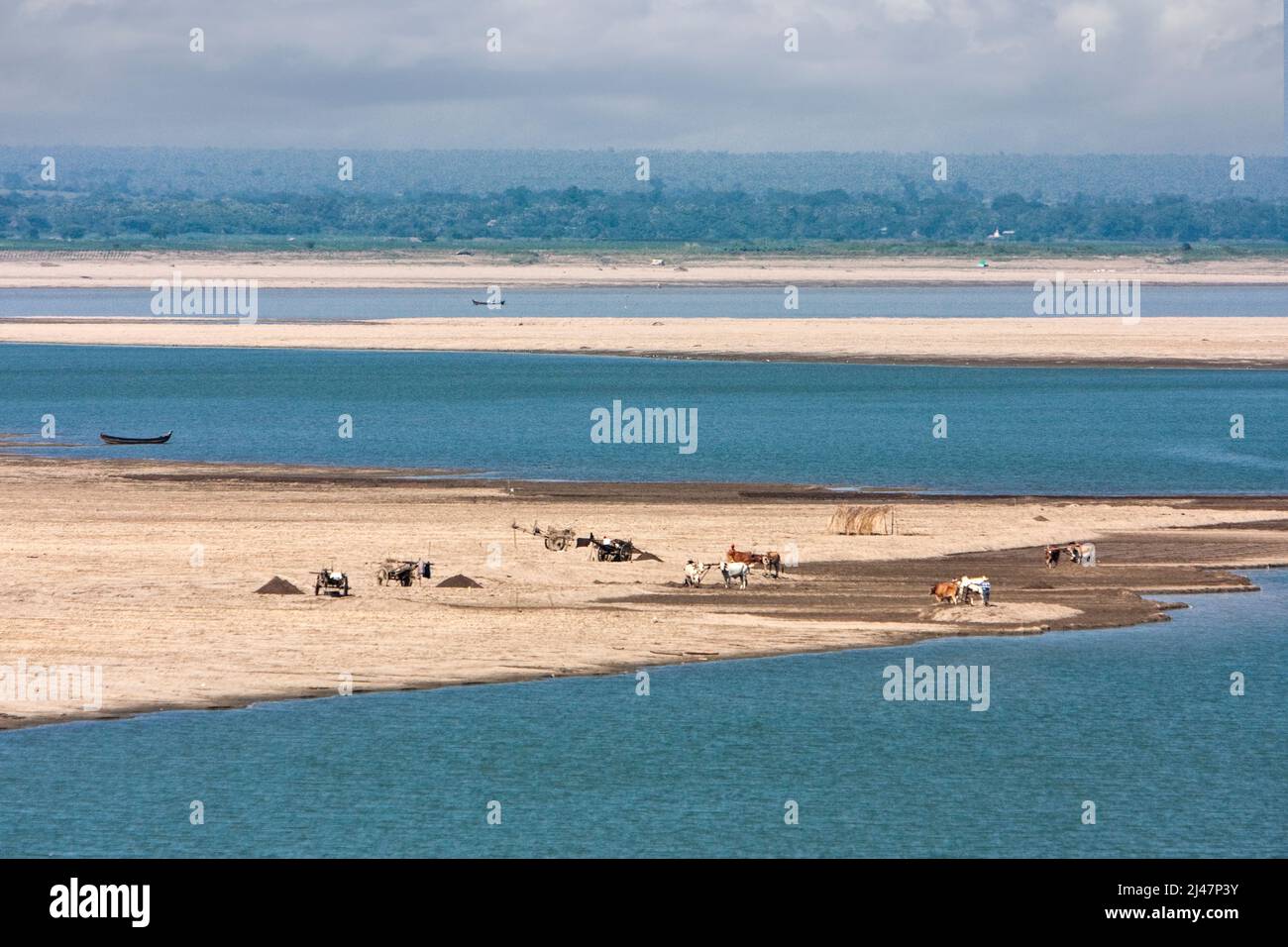 Myanmar, Burma, near Bagan. Plowing the River Banks of the Ayeyarwady ...