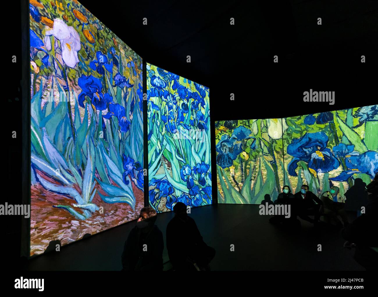 People viewing Van Gogh Alive art exhibition, Edinburgh, Scotland, UK ...