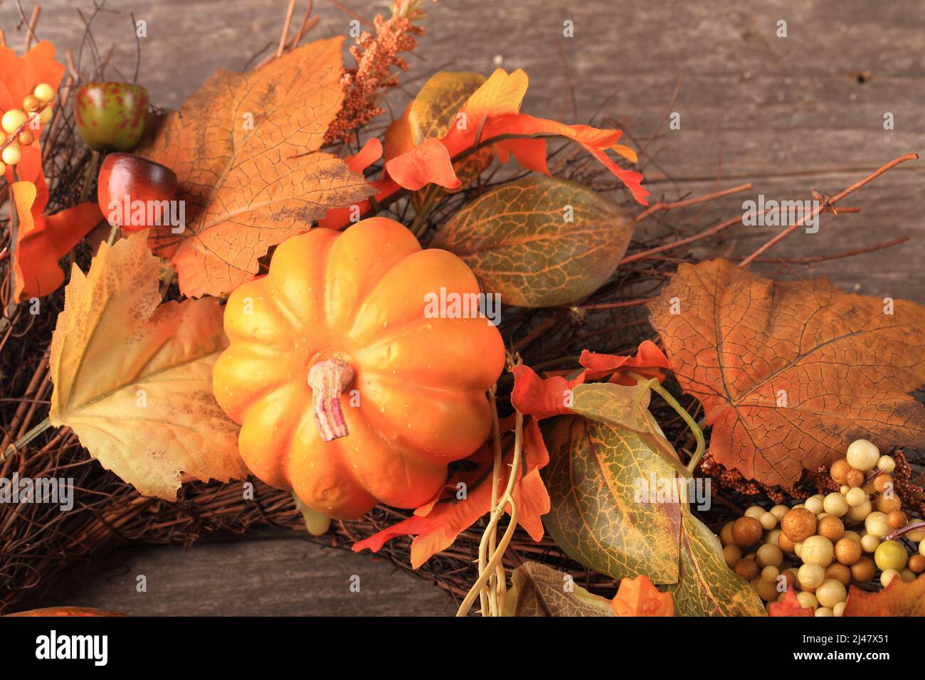 Autumn background with gourds Stock Photo - Alamy