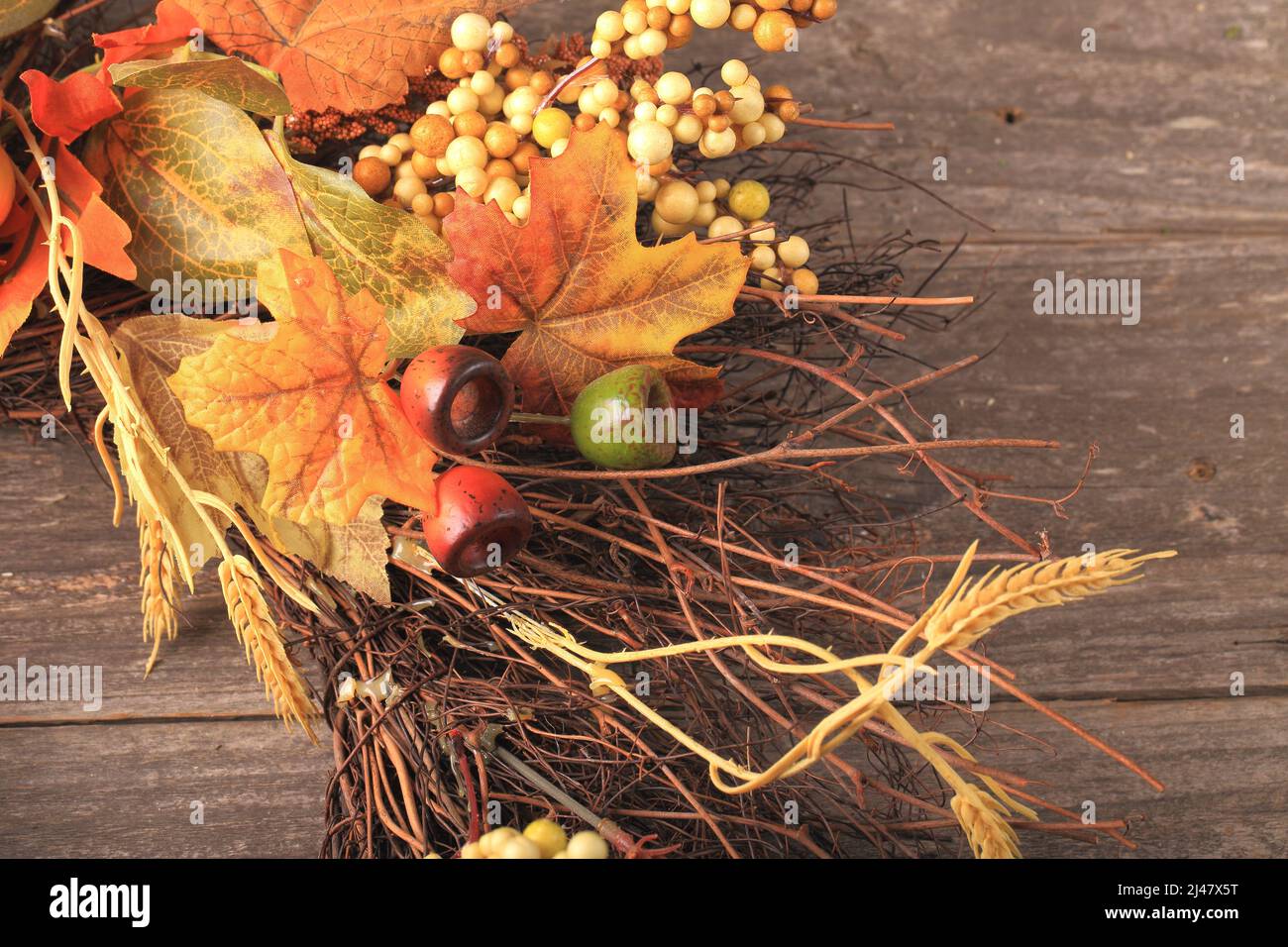 Autumn background with gourds Stock Photo - Alamy