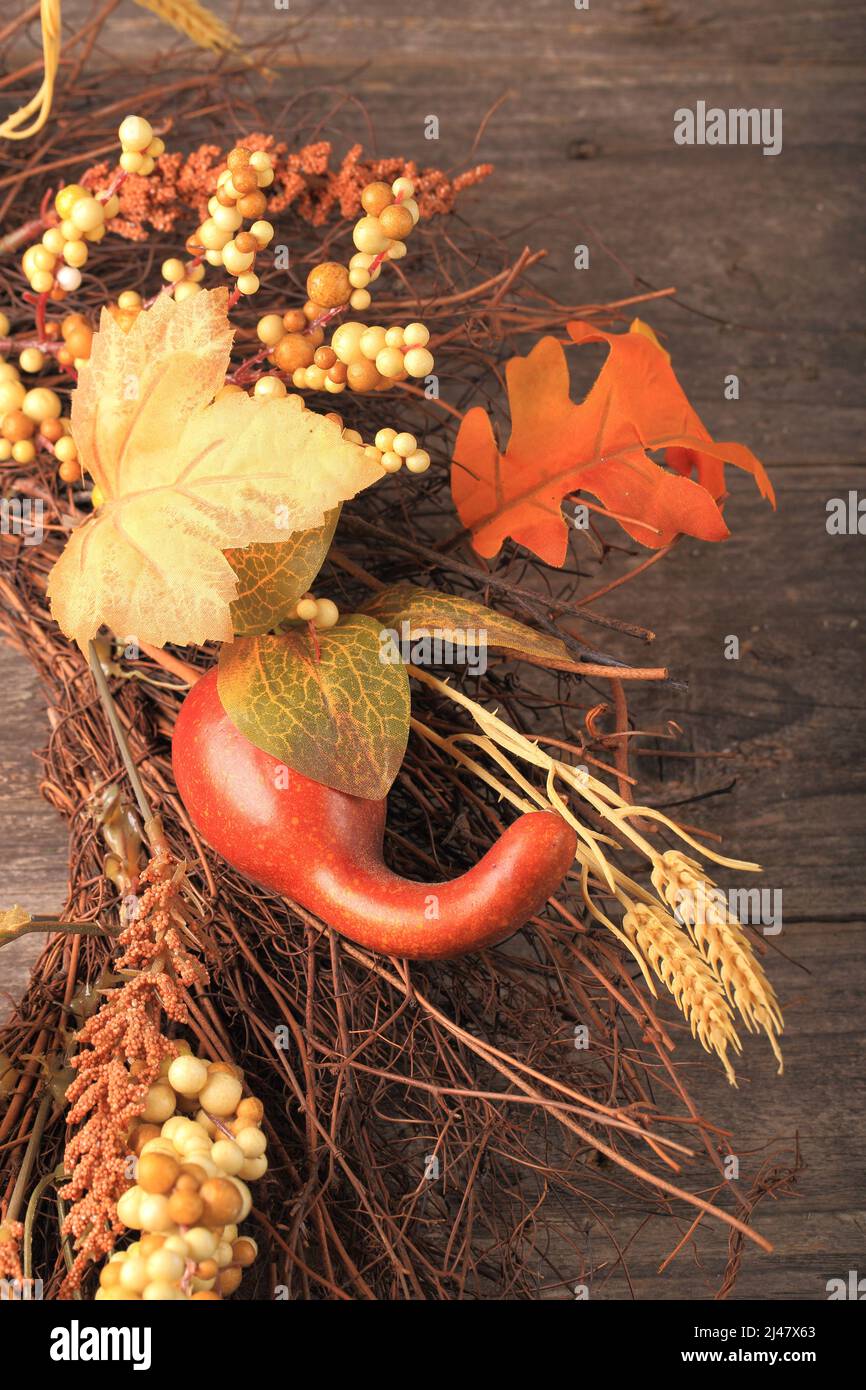 Autumn background with gourds Stock Photo - Alamy