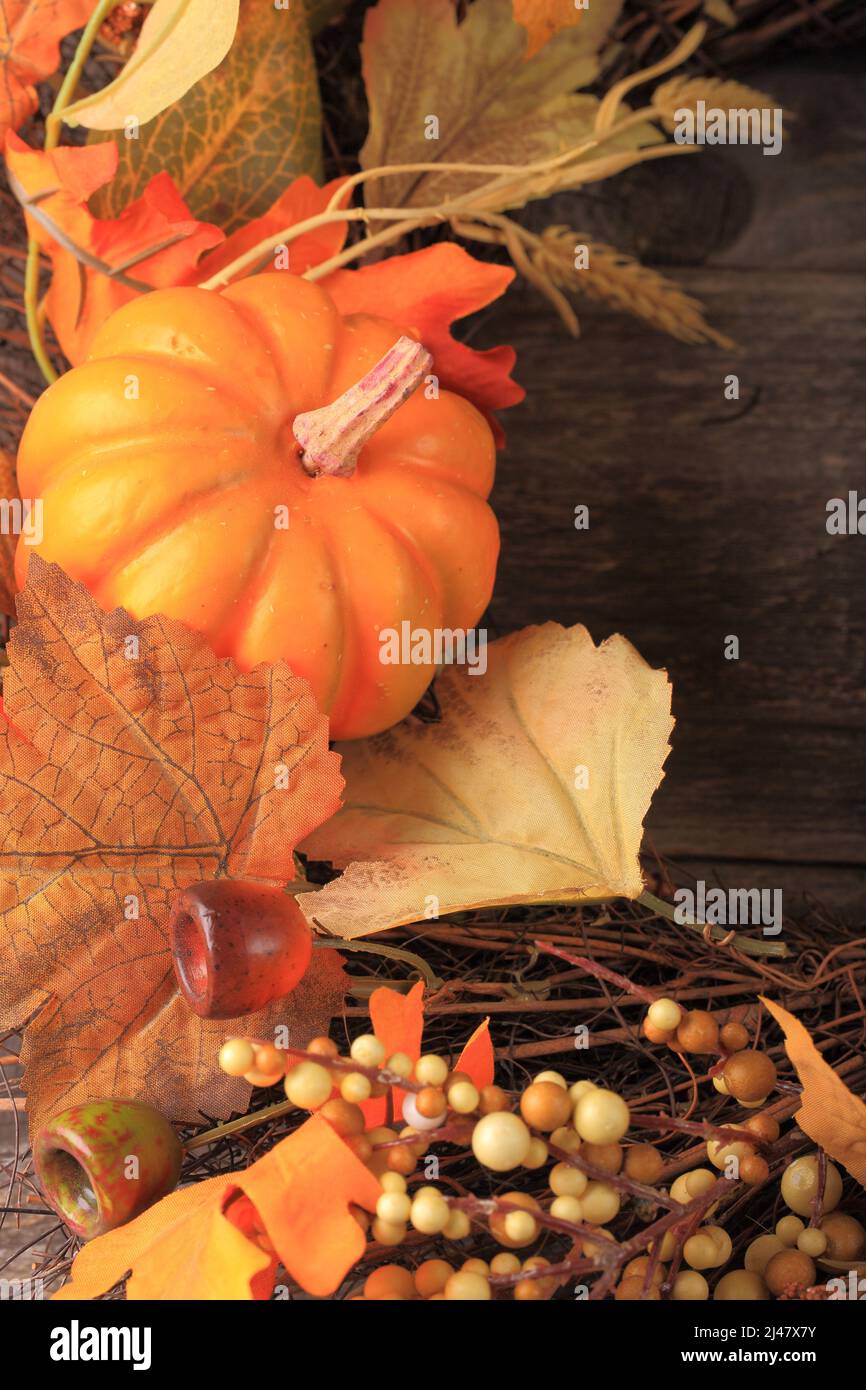 Autumn background with gourds Stock Photo - Alamy