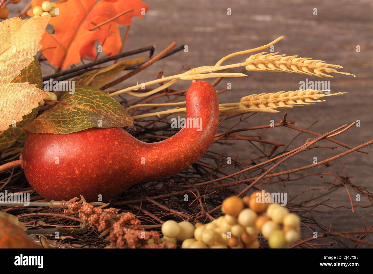 Autumn background with gourds Stock Photo - Alamy