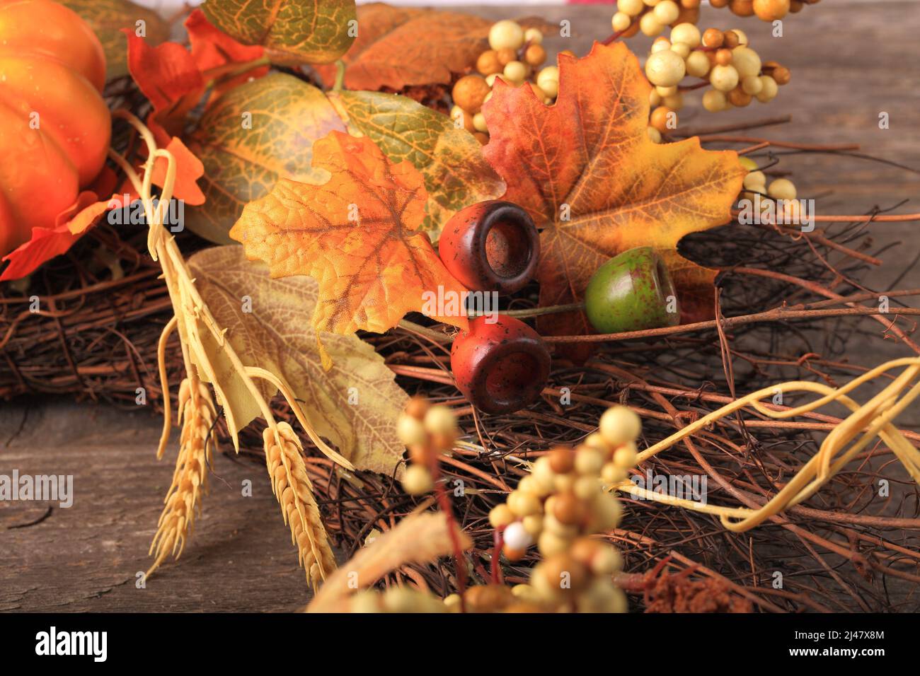 Autumn background with gourds Stock Photo - Alamy