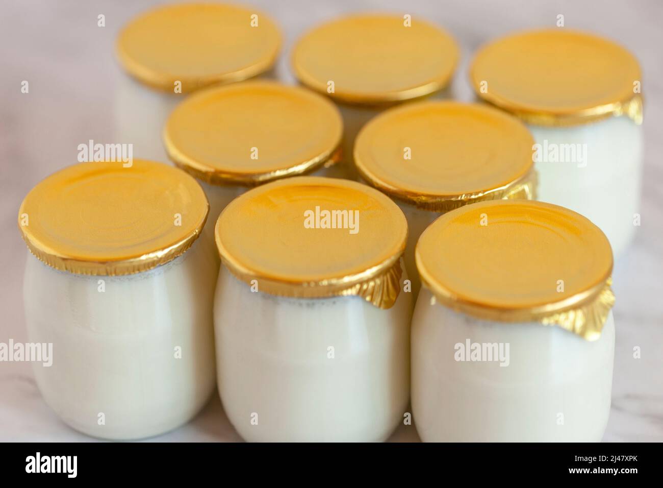 natural whole milk industrial yogurt in glass pots without expiration ...