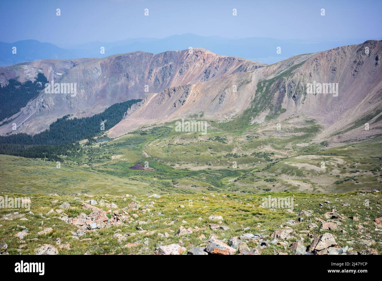 Meadow east of Wheeler Peak in New Mexico Stock Photo - Alamy