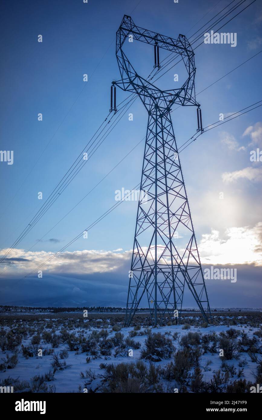 Line supports along the Pacific Intertie in Oregon Stock Photo - Alamy