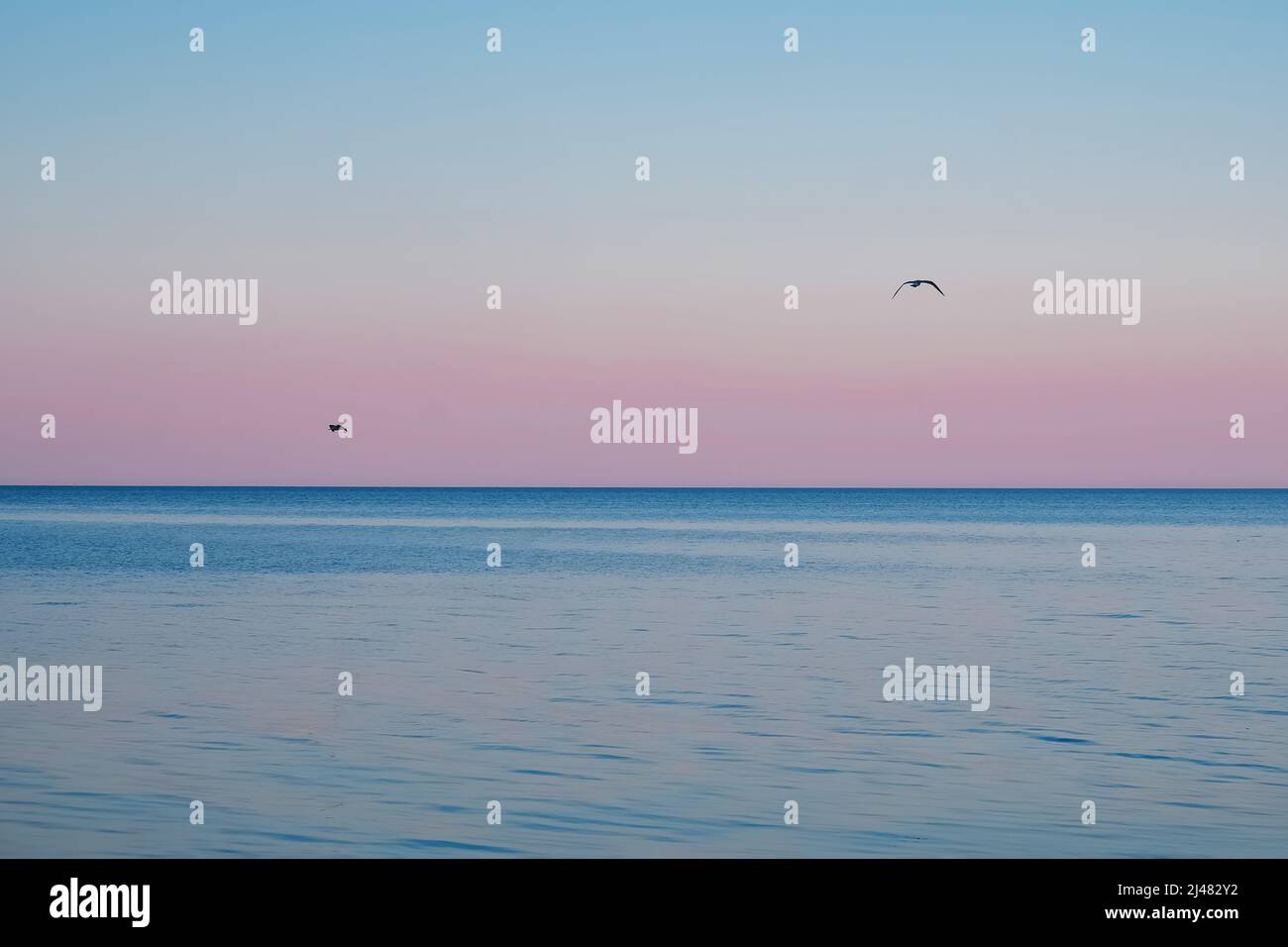 Beautiful calm sea sunset hi-res stock photography and images - Alamy