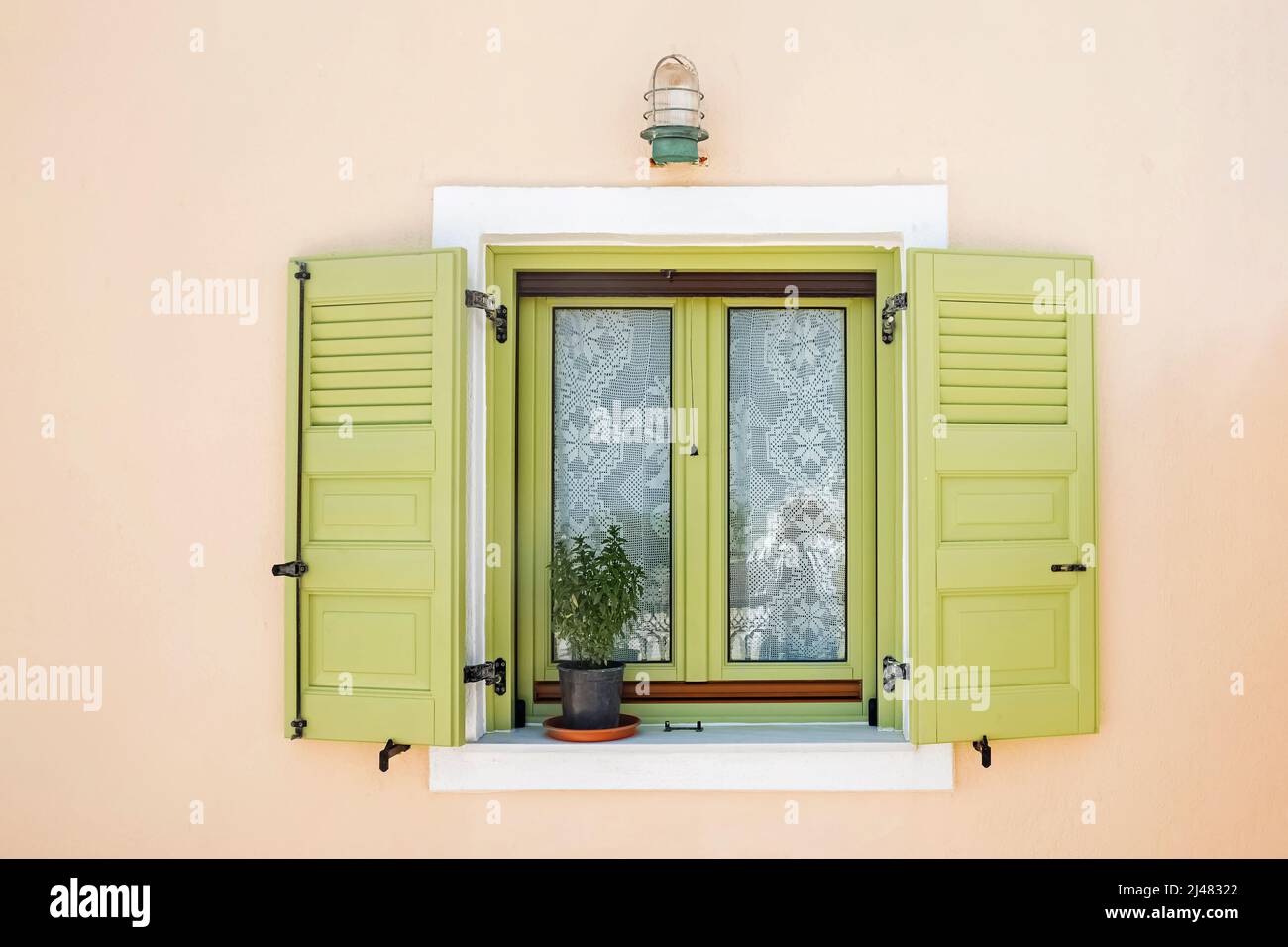 Cute vintage window with plant and green shutters Stock Photo - Alamy