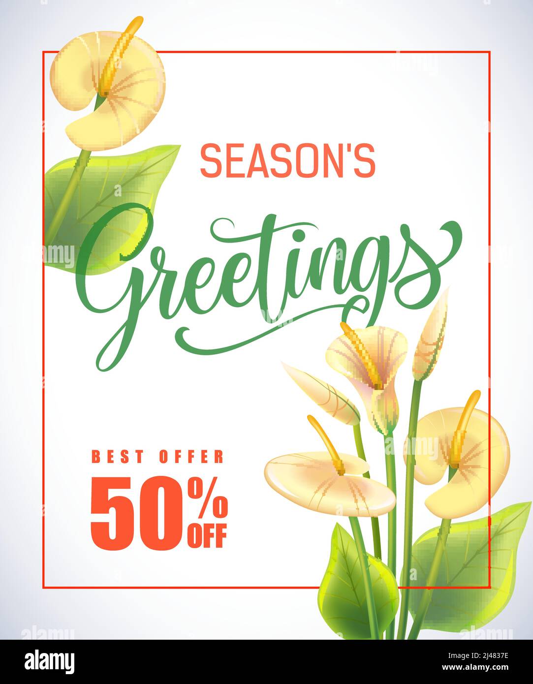 Seasons greeting lettering in frame with arum lilies on white ...