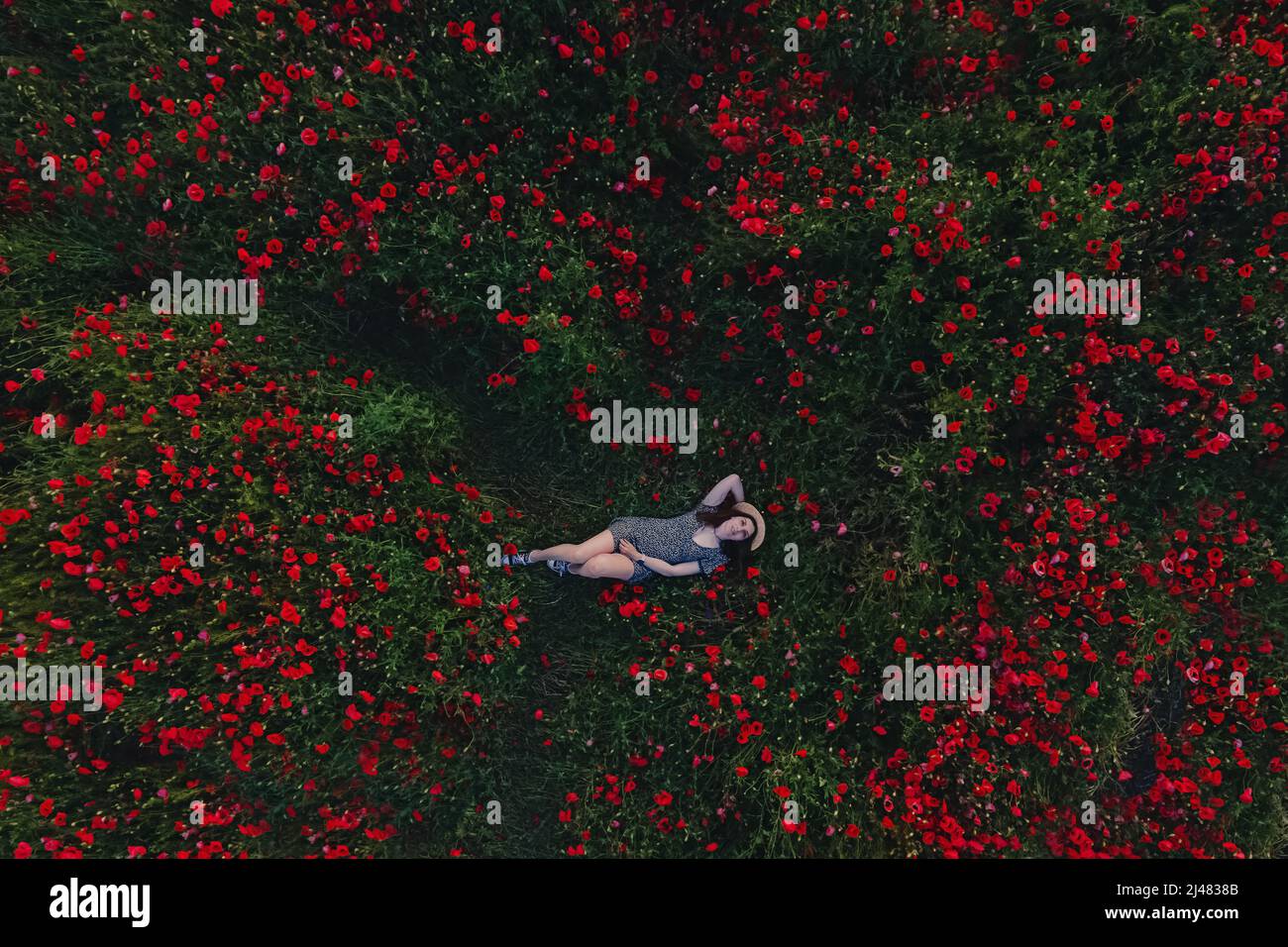 Drone poppy field hi-res stock photography and images - Alamy