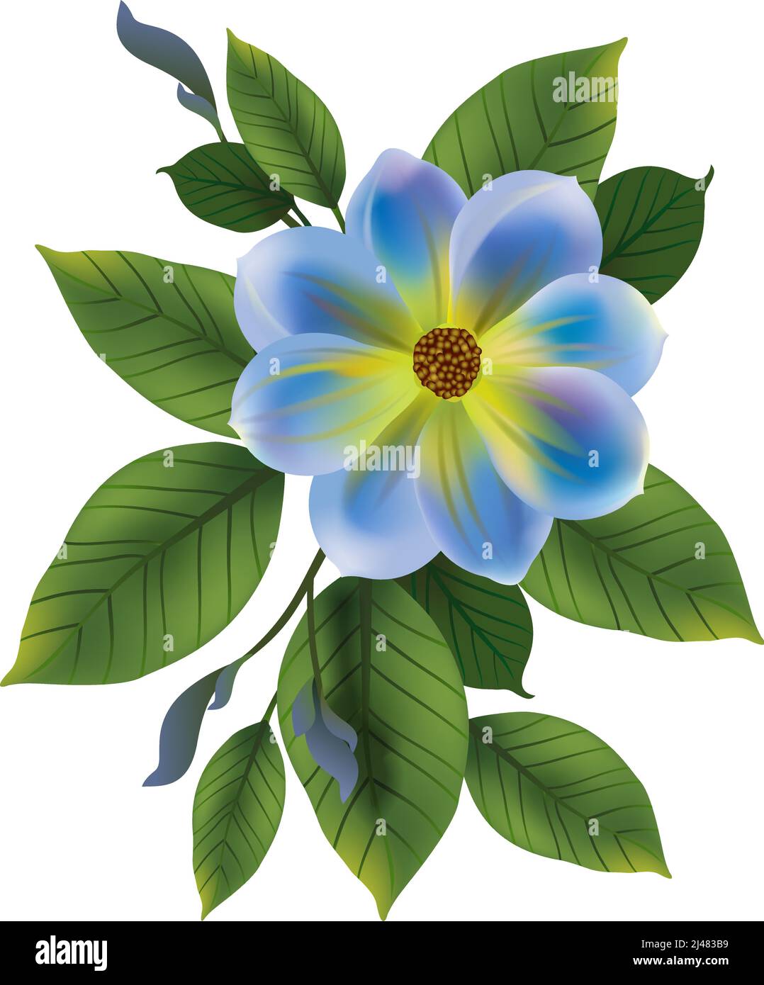 Illustration of blue flower with leaves. Forget me not, bud, twig ...