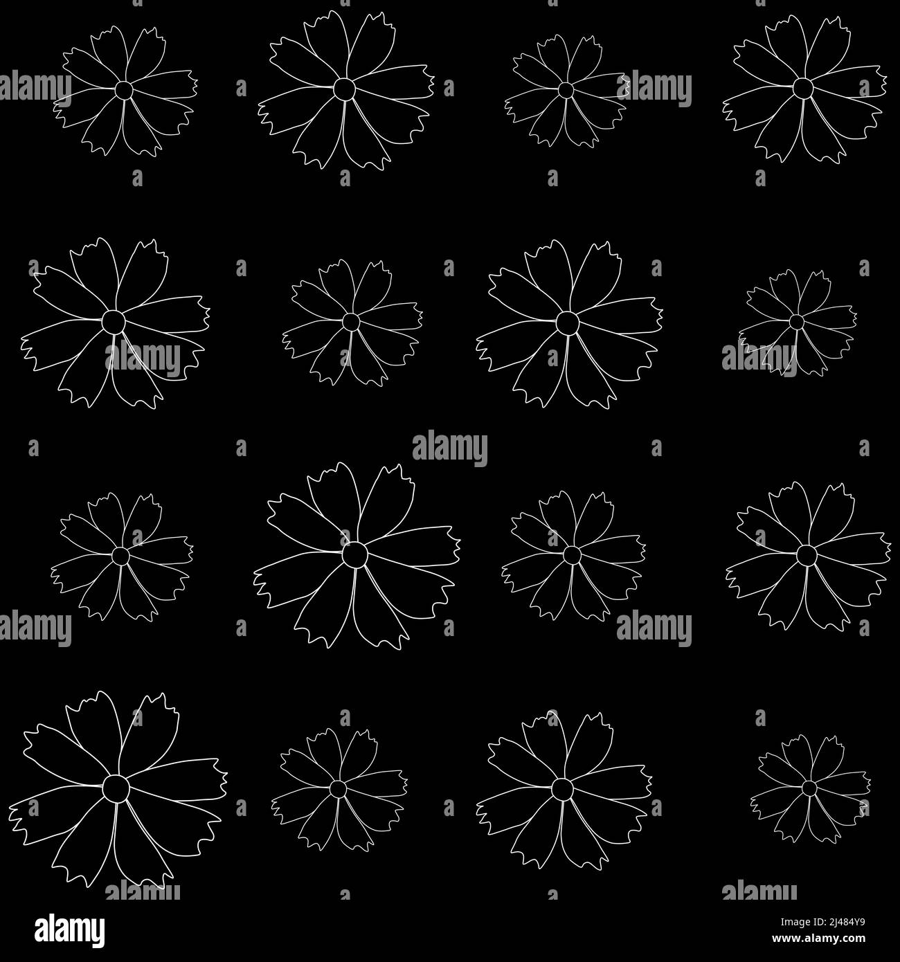 Seamless pattern with cosmos flower vector simple illustration isolated ...