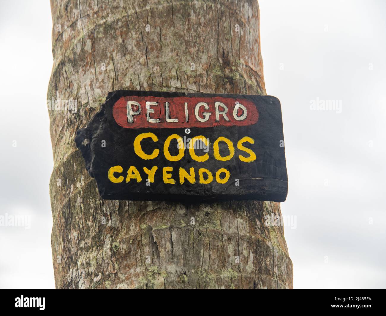 Handpainted warning sign: Peligro Cocos Cayendo, Danger Falling ...