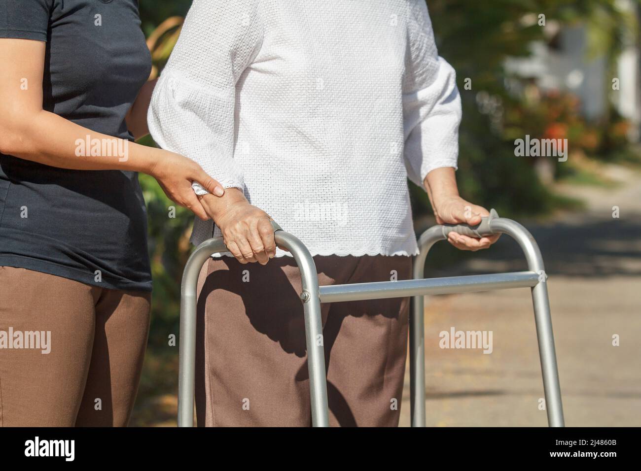 senior woman using a walker cross street Stock Photo - Alamy