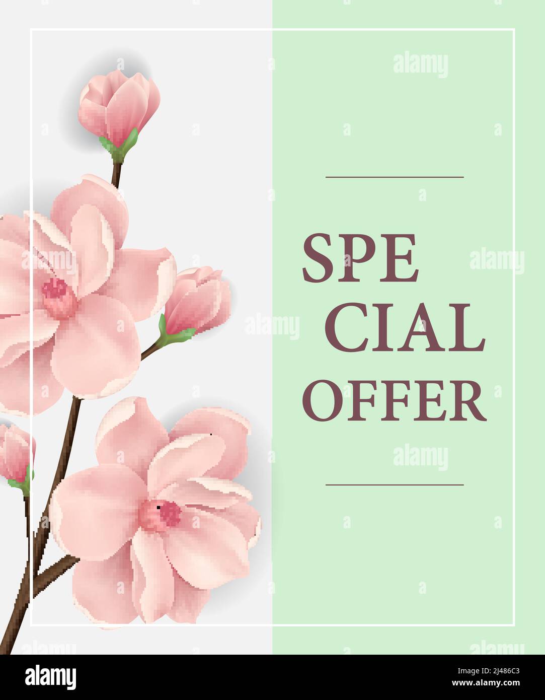 Special offer poster design with pink blooming twig on light green ...