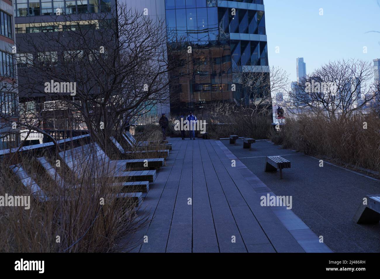 Changing seasons: early spring on the Highline, an urban park in New ...