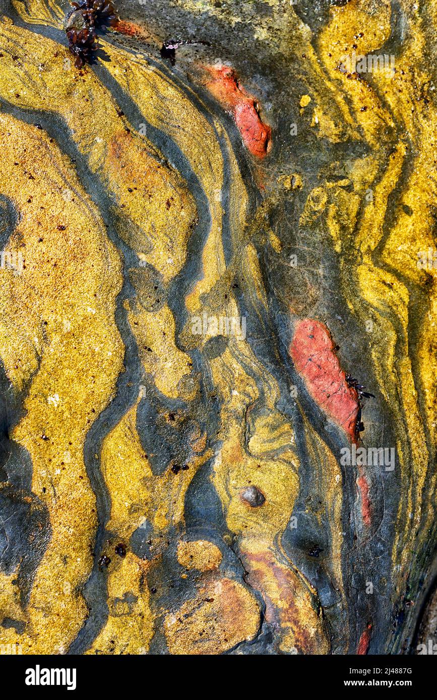 Close-up views of tide pool rocks with unique colors and patterns Stock ...