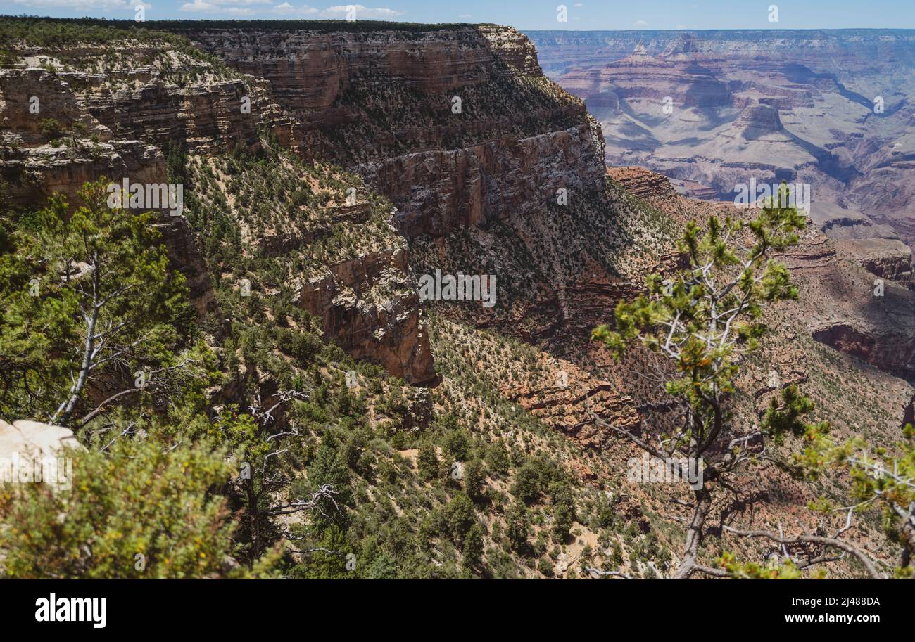 Grand canyon national park panorama. Scenic view Arizona USA from the ...