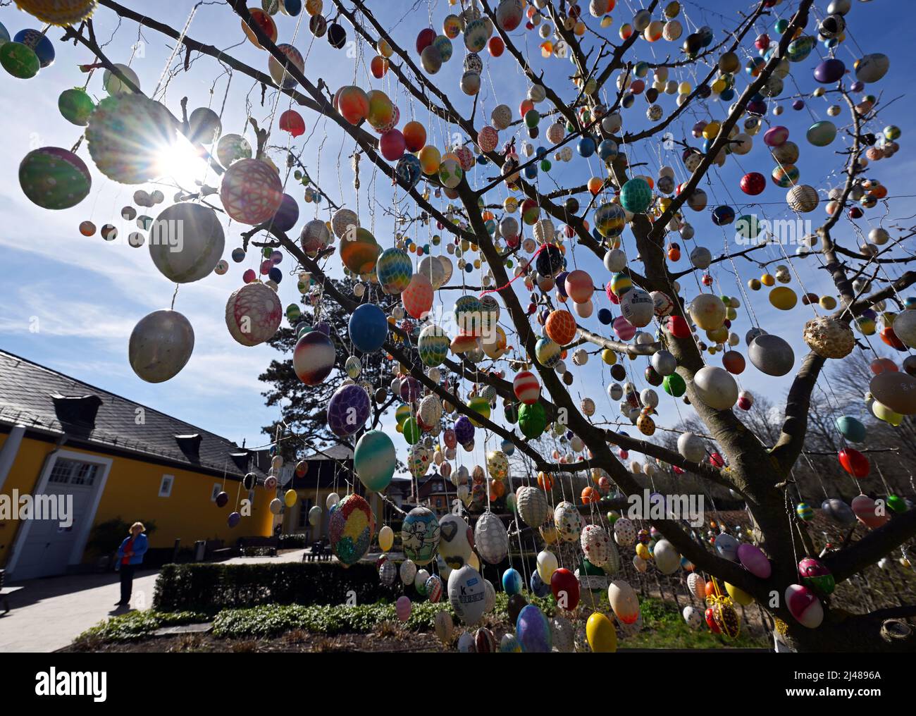 Saalfeld, Germany. 12th Apr, 2022. Dozens of colorful eggs hang on the ...