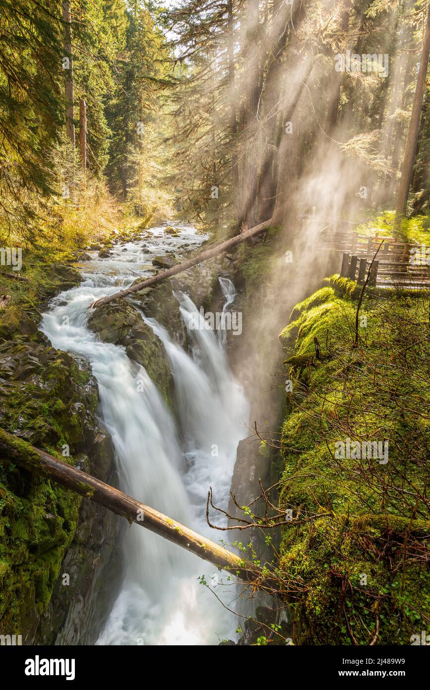 Long duc hi-res stock photography and images - Alamy