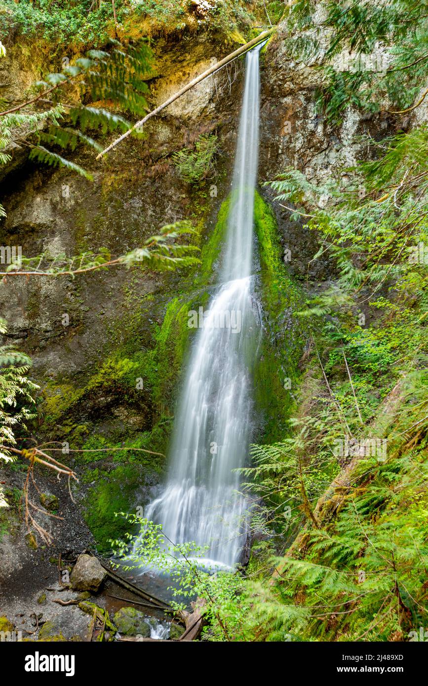 Marymere falls trail hi-res stock photography and images - Alamy