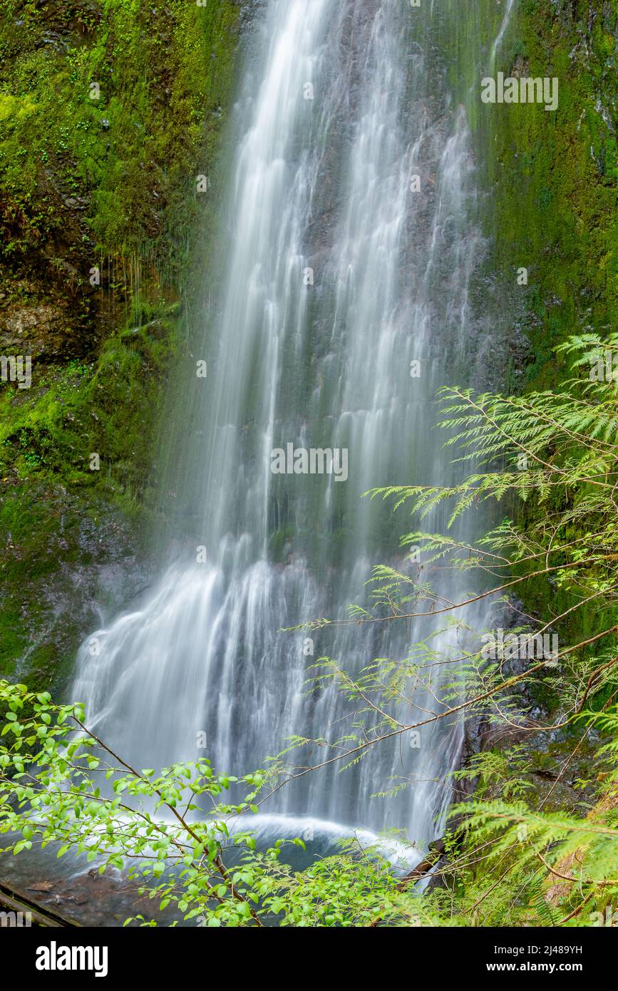 Marymere falls nature trail hi-res stock photography and images - Alamy
