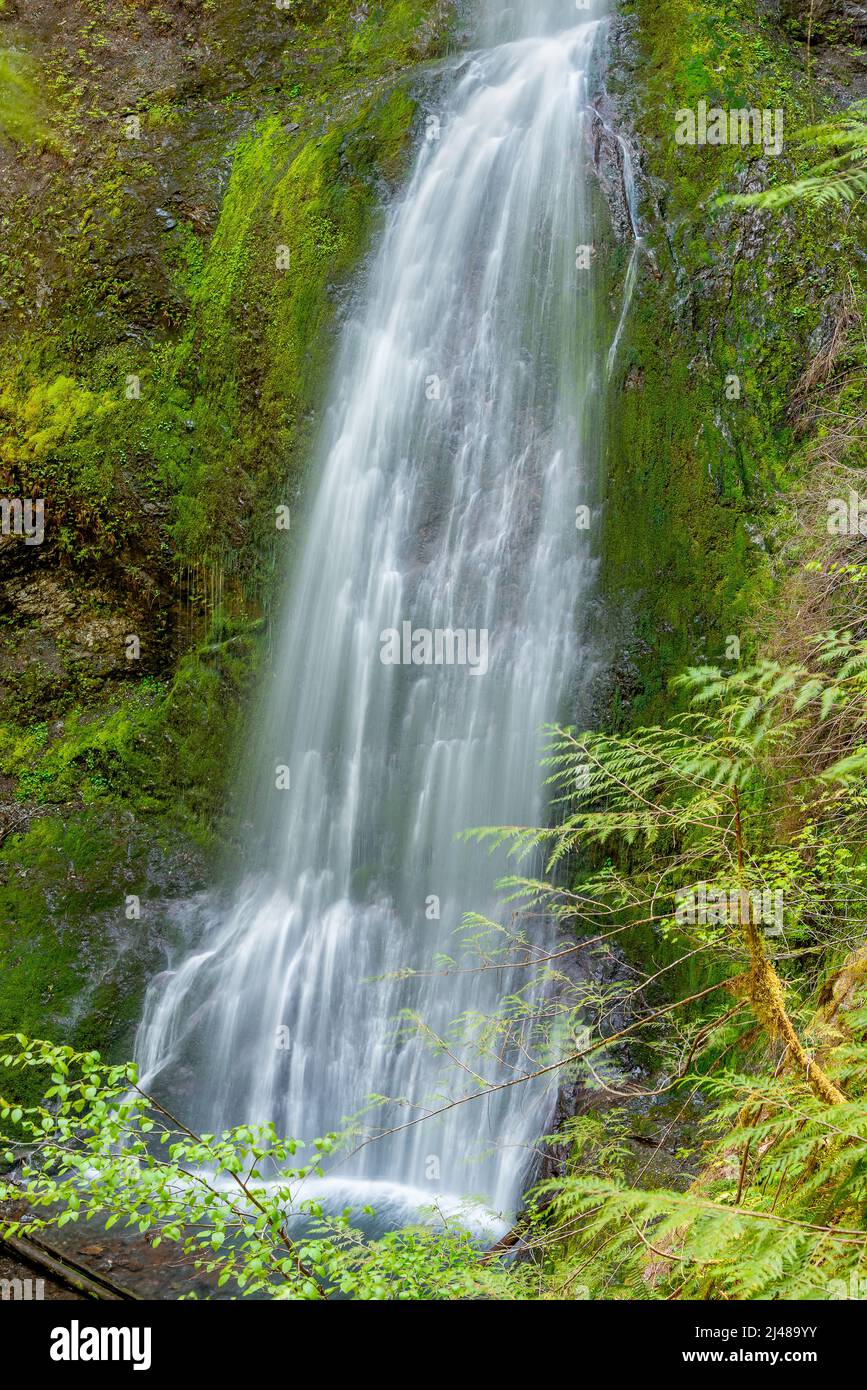 Marymere falls nature trail hi-res stock photography and images - Alamy