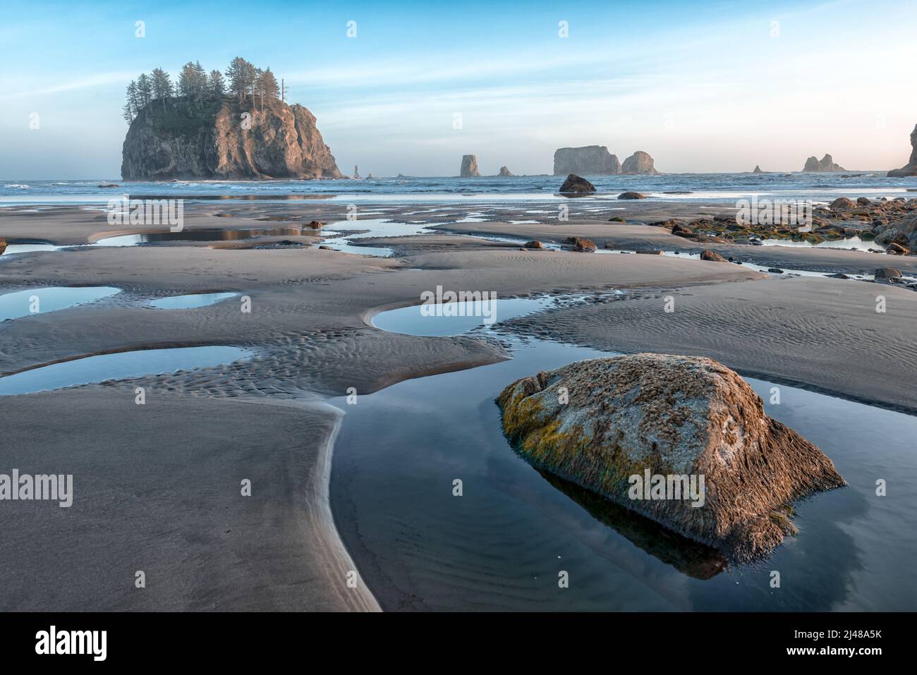 Low tide and sea stacks at beach on the Washington coast Stock Photo ...