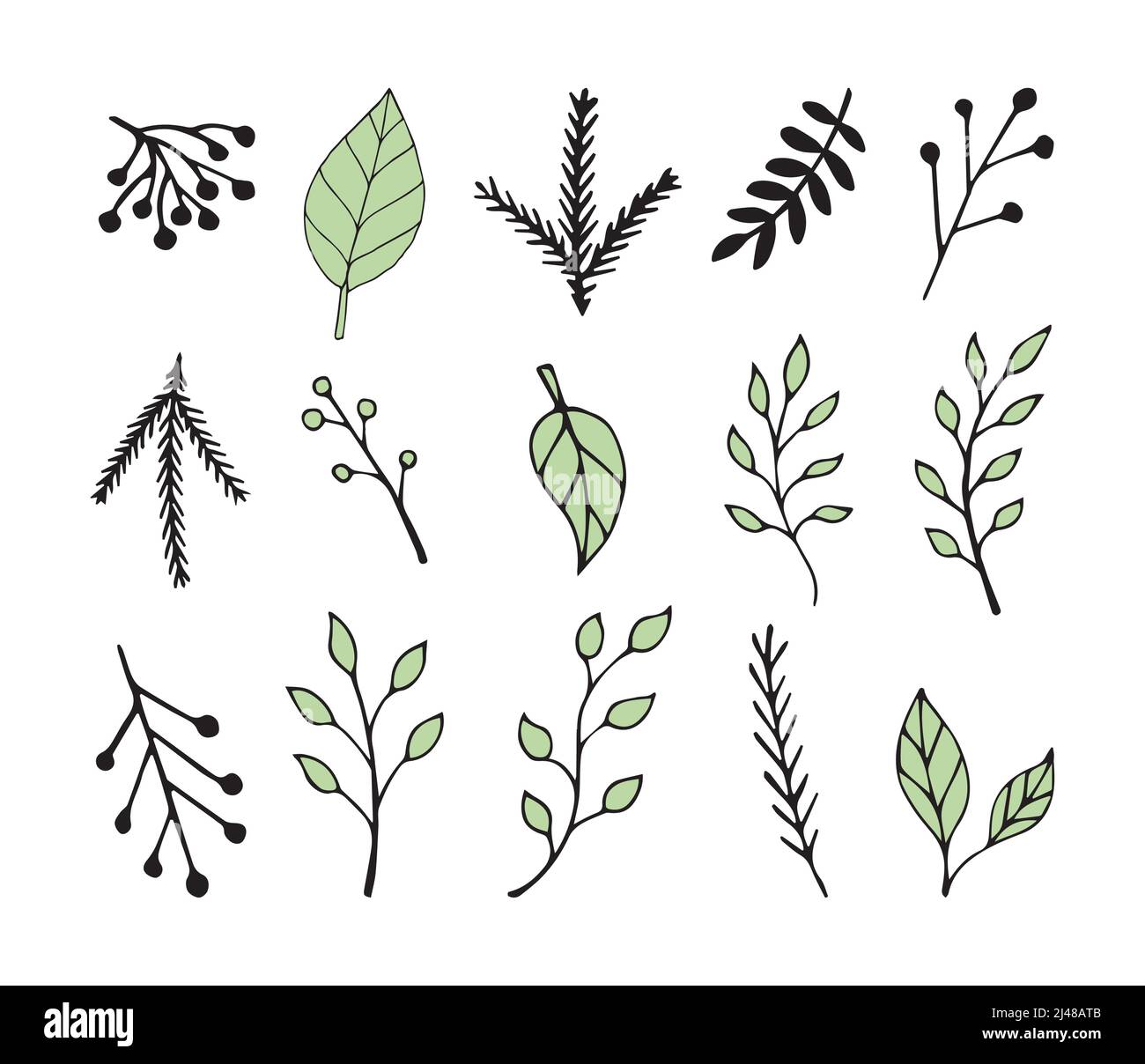 Vector set of green hand drawn sketch doodle leaves isolated on white ...