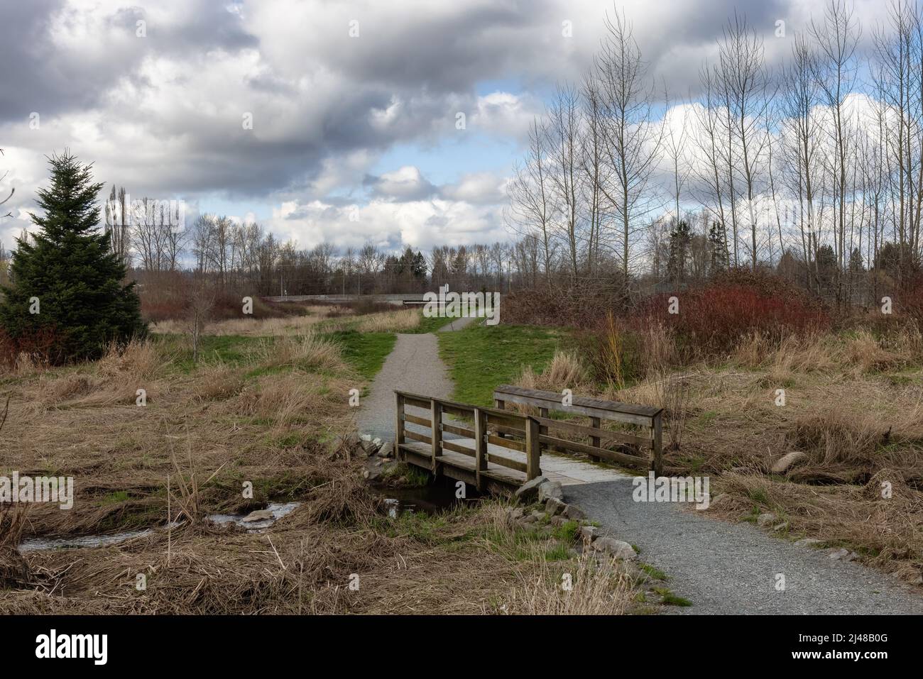 Scenic path in a park with green field and trees in a city Stock Photo ...
