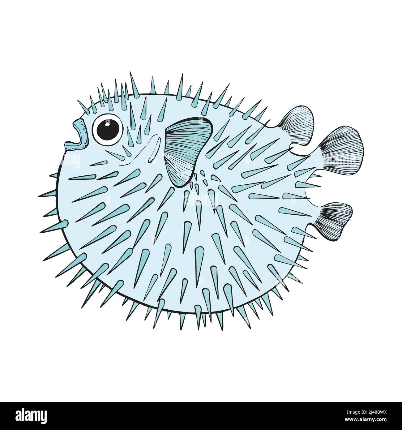 Hand drawn Reef Tropical Fishes. Sea and Ocean Animals Vector Clip art ...