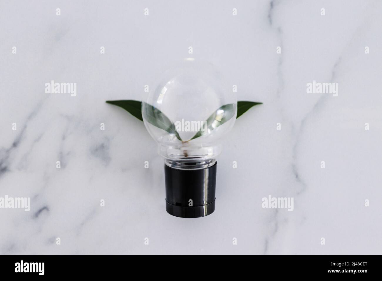 ideas for sustainability and the environment, lightbulb with perfect ...