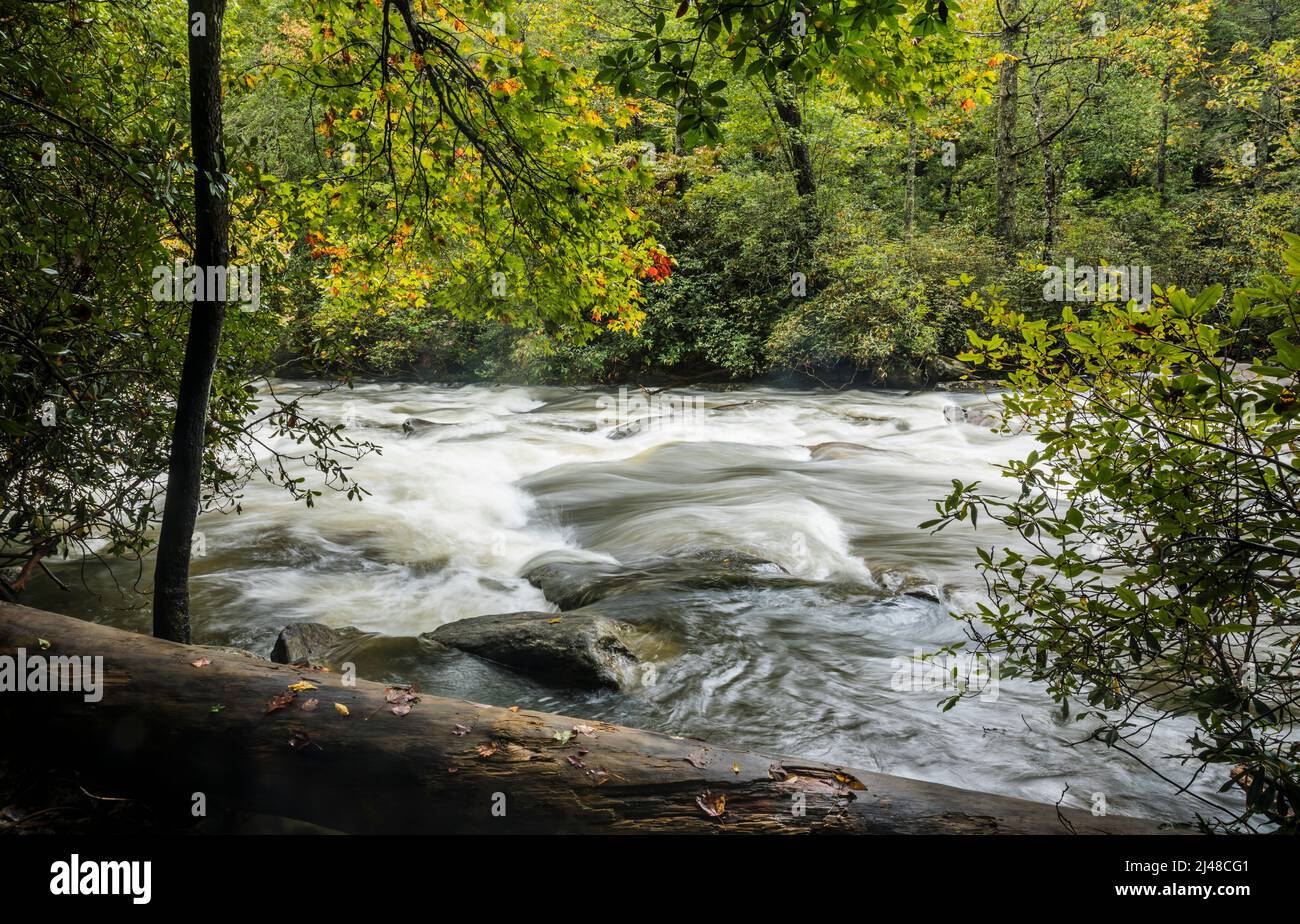 The Horsepasture River on the way to Rainbow Falls, Gorges State Park ...