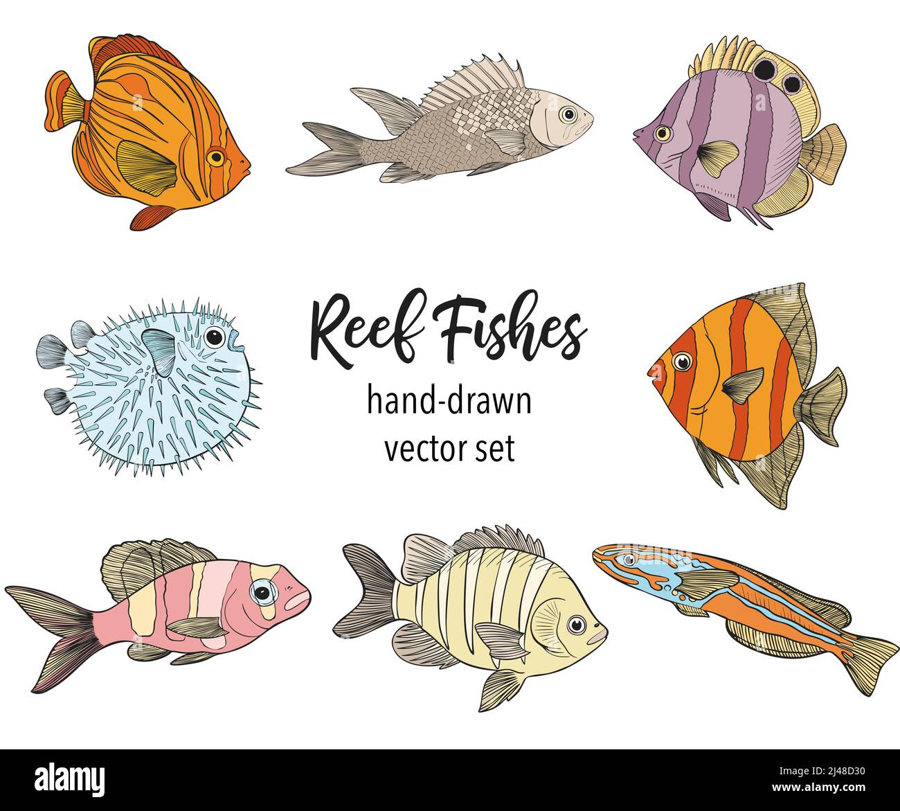 Hand drawn Reef Tropical Fishes. Sea and Ocean Animals Vector Clip art ...