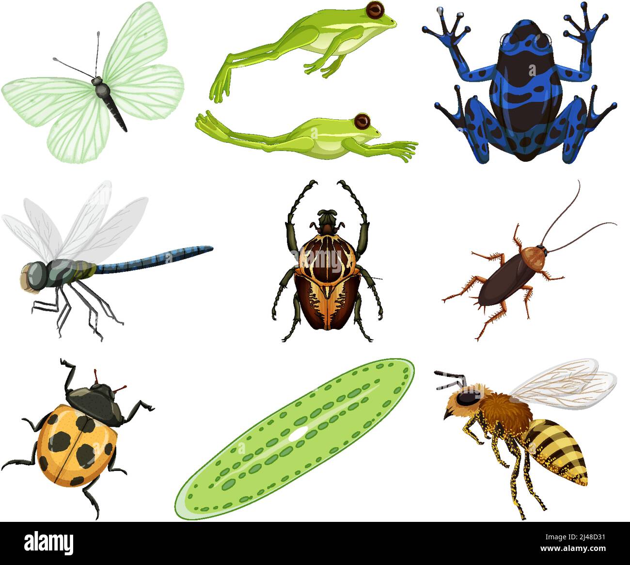 Different kinds of insects and animals on white background illustration ...